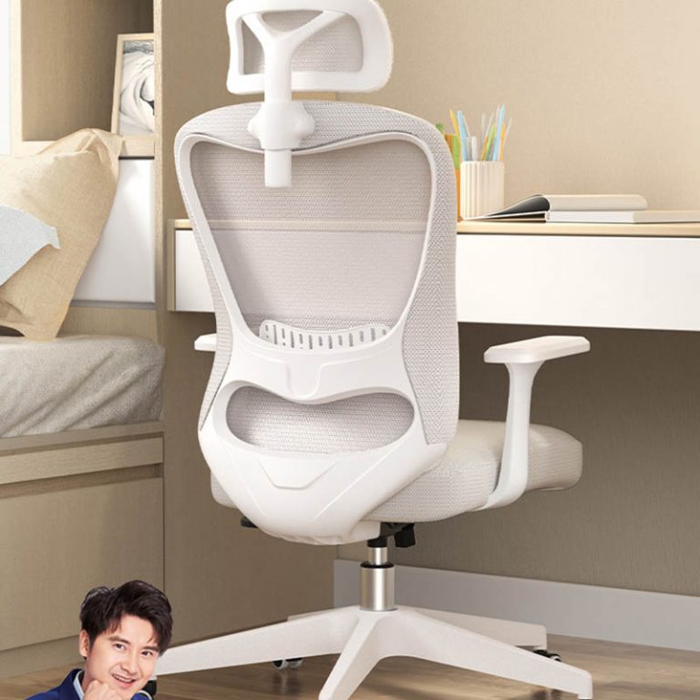 High back Office Chair Ergonomic with 3D Lumbar Support